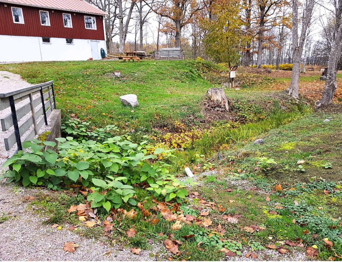 Sk tselplan Marsbacken sk-tselplan-marsbacken